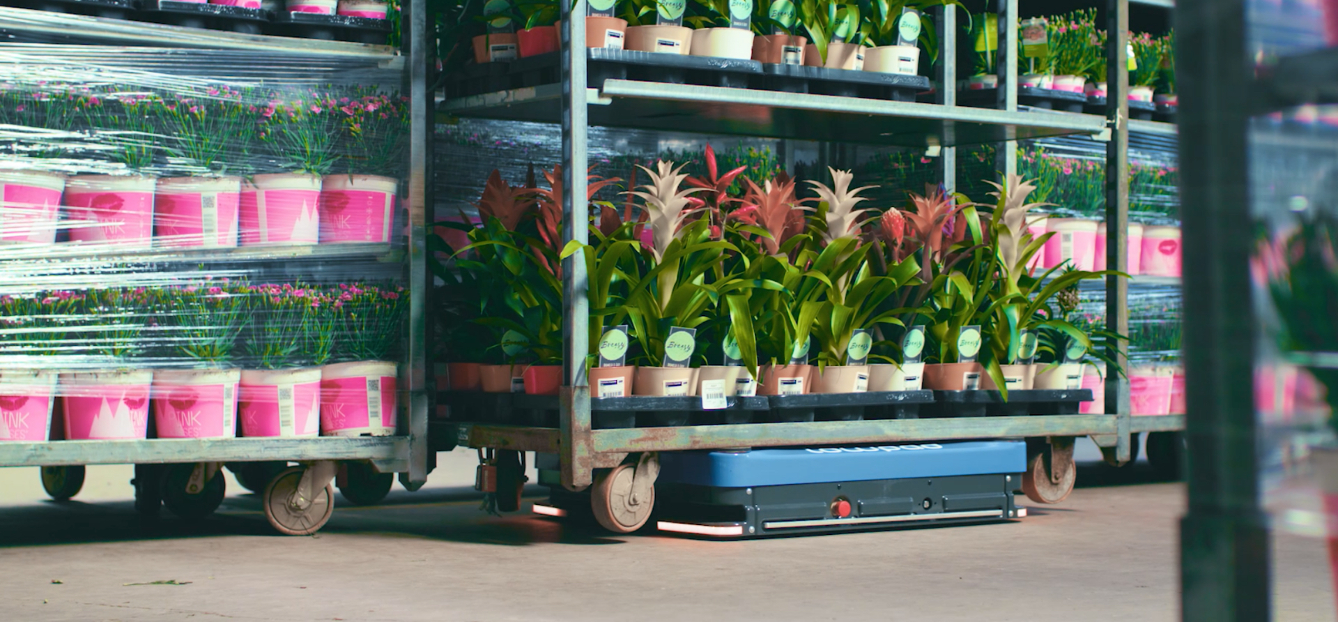 Lowpad Applications - Marshalling