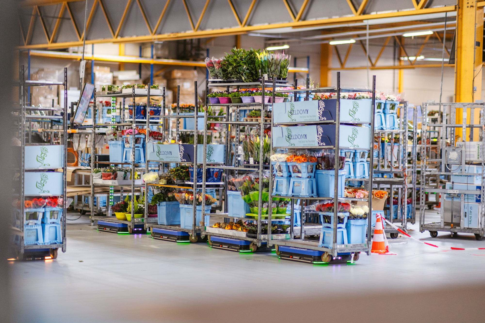 Goods to Person solution with 65 Lowpads at Celdomy