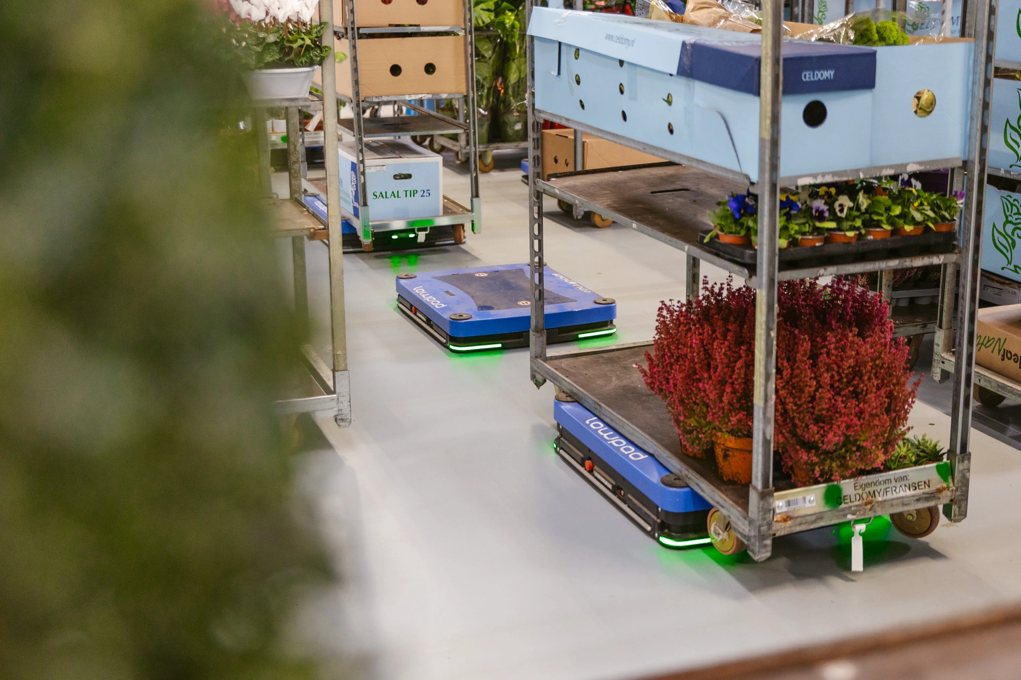 Goods to Person solution with 65 Lowpads at Celdomy