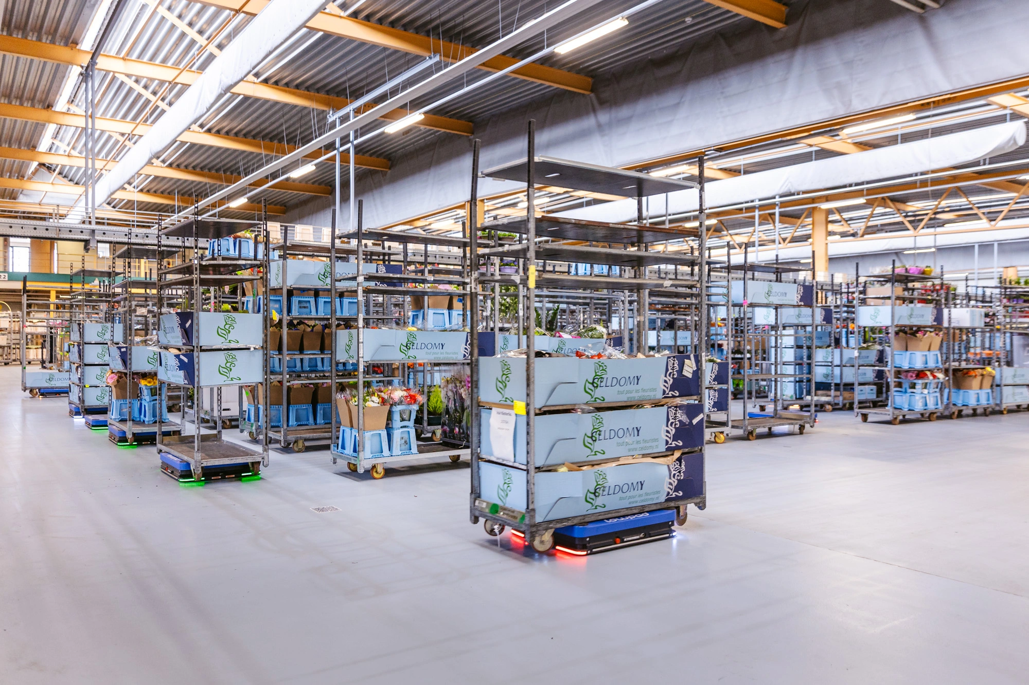 Goods to Person solution with 65 Lowpads at Celdomy